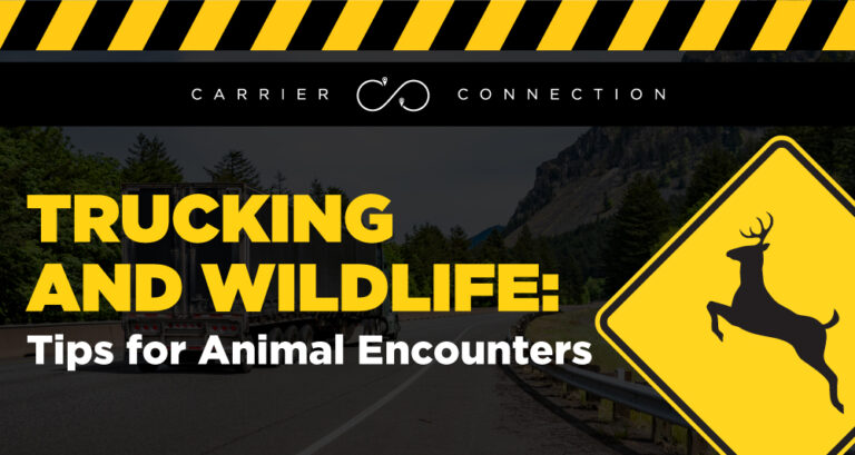 Trucking and Wildlife: Tips for Animal Encounters | England Logistics